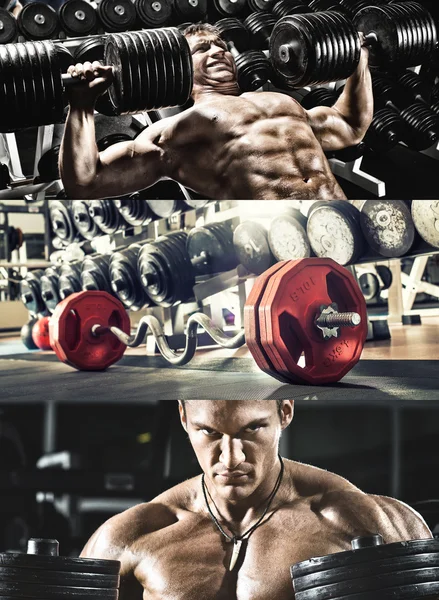 Gym collage Stock Photos, Royalty Free Gym collage Images | Depositphotos