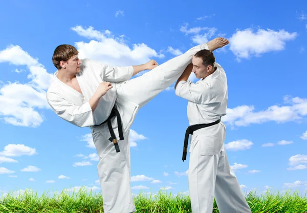 Karate fighters in action Stock Photo by ©Garsya 120376114