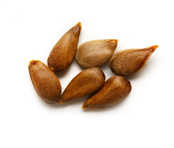 Apple seeds Stock Photos, Royalty Free Apple seeds Images | Depositphotos