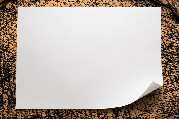 Blank sheet of paper Stock Photo by ©Garsya 71501771