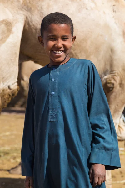 Camel salesman Stock Photos, Royalty Free Camel salesman Images ...