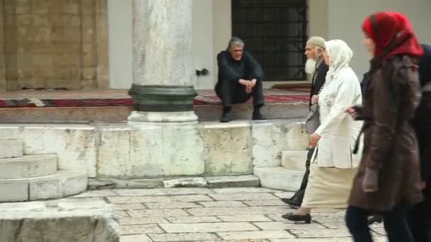 3,030 vídeos de Pelgrims, metraje de Pelgrims sin royalties | Depositphotos