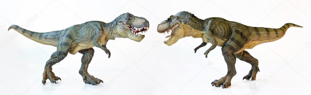 A Tyrannosaurus Pair on a White Background — Stock Photo © neilld #53415481