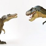 A Tyrannosaurus Rex Dinosaur Battles a Spinosaurus — Stock Photo ...