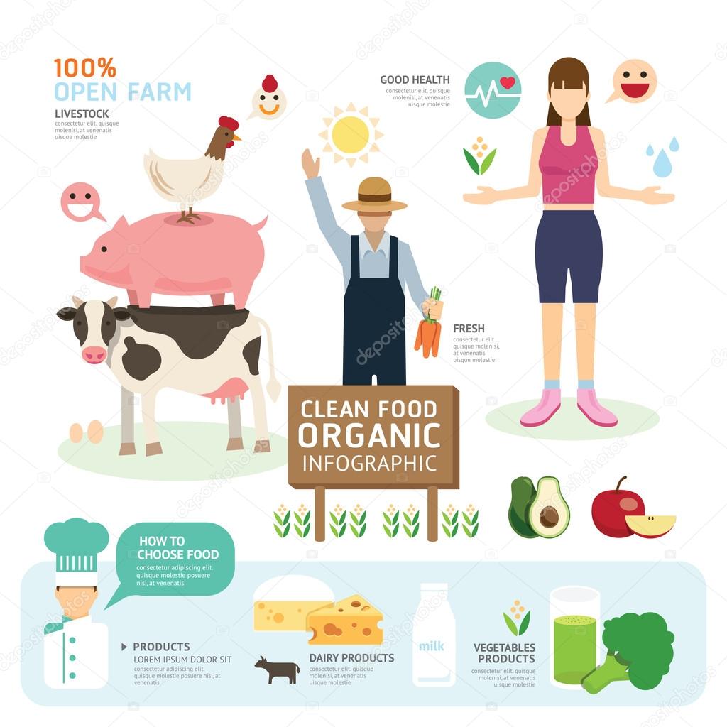 Infographic About Organic Food