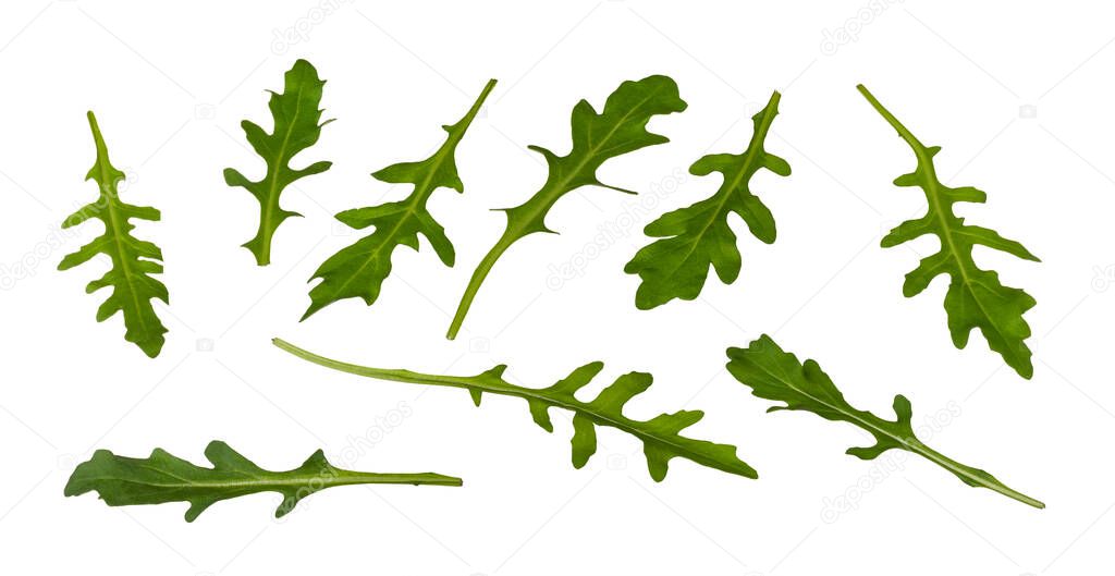 Conjunto de hojas de rúcula verde aisladas sobre fondo blanco. Eruca ...