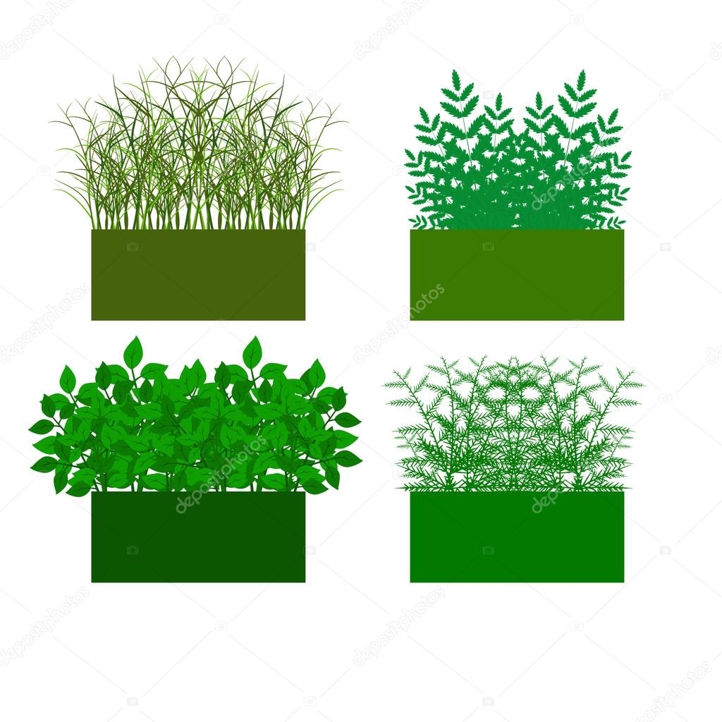 Grass, shrubs. Textures illustrated images Stock Vector Image by ©arman ...