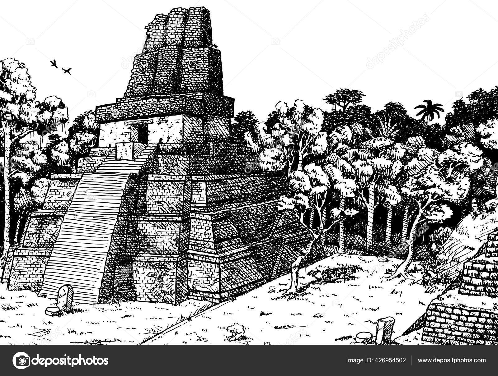 Steep Temple Pyramid Forest Old City Tikal Large Archaeological Site ...