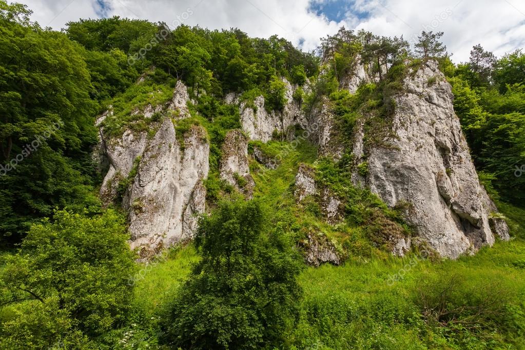Rock formations in the greenery — Stock Photo © ScorpionPL #54995221