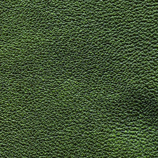 Frog skin texture Stock Photos, Royalty Free Frog skin texture Images ...