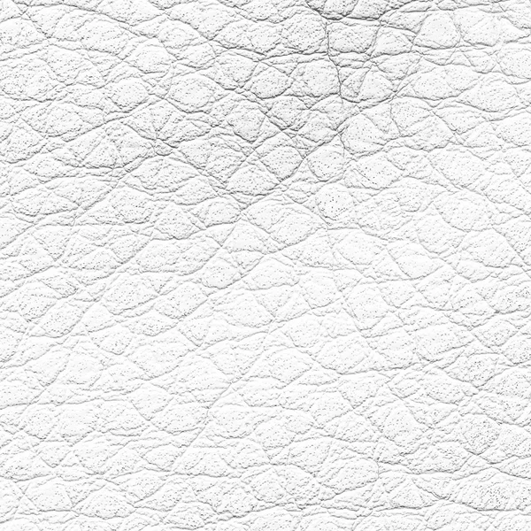 White skin texture Stock Photos, Royalty Free White skin texture Images ...