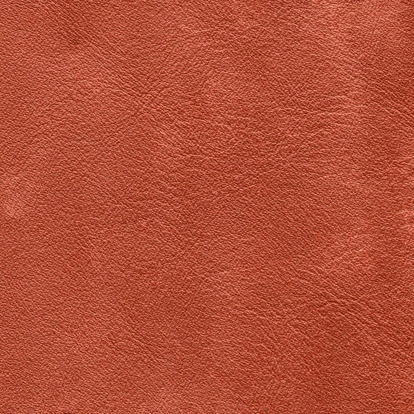 Red leather texture closeup — Stock Photo © natalt #128908256
