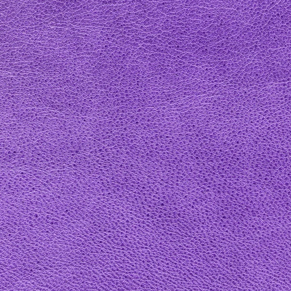 Violet leather texture closeup. — Stock Photo © natalt #128908318