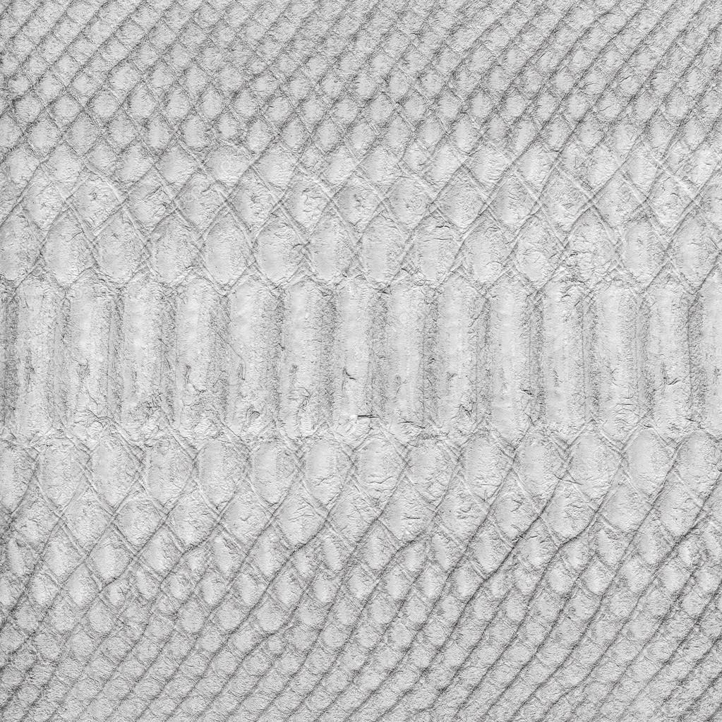 White snake skin texture or background — Stock Photo © natalt #124733770