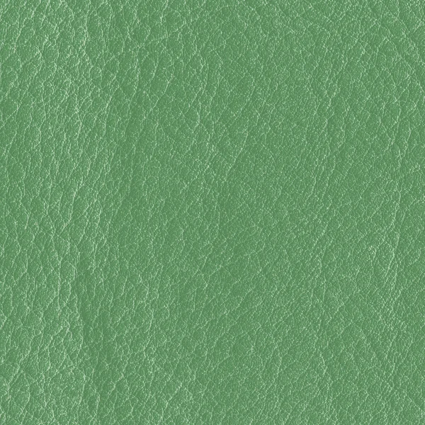 Green leather texture, — Stock Photo © natalt #120588364