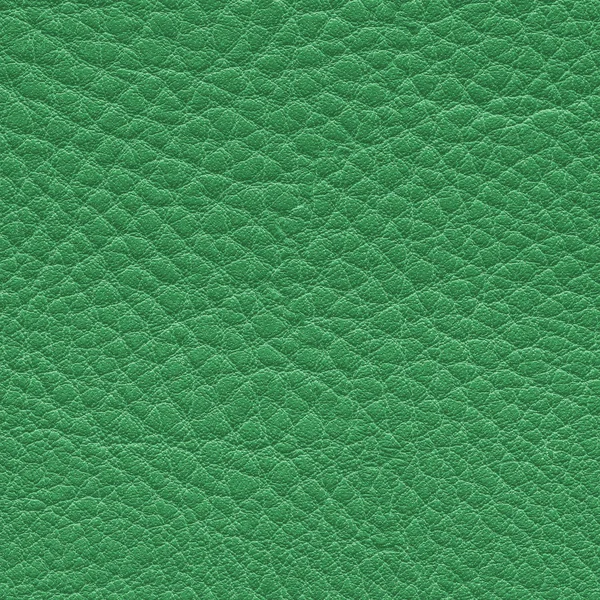Green leather texture, — Stock Photo © natalt #120588364