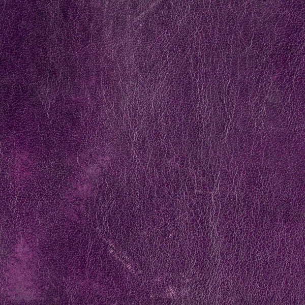 Violet leather texture. — Stock Photo © natalt #128908266