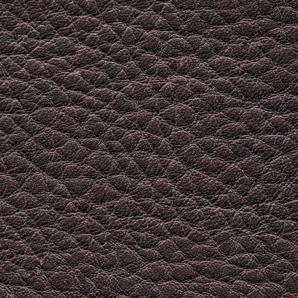 Leer Stockfoto's, Rechtenvrije Leer afbeeldingen | Depositphotos®