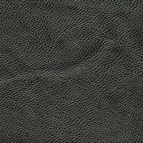 Fisk skala textur Stock Photos, Royalty Free Fisk skala textur Images ...