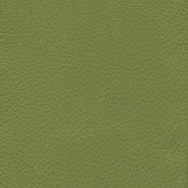 Green leather Stock Photos, Royalty Free Green leather Images ...