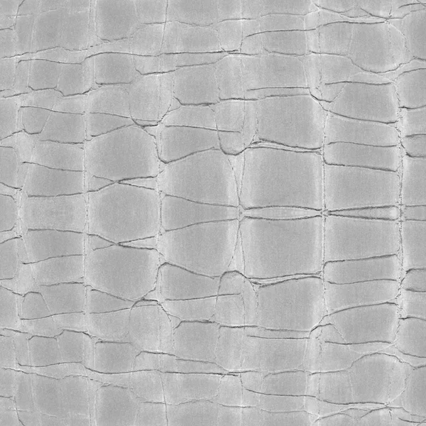 Dimpled membrane Stock Photos, Royalty Free Dimpled membrane Images ...