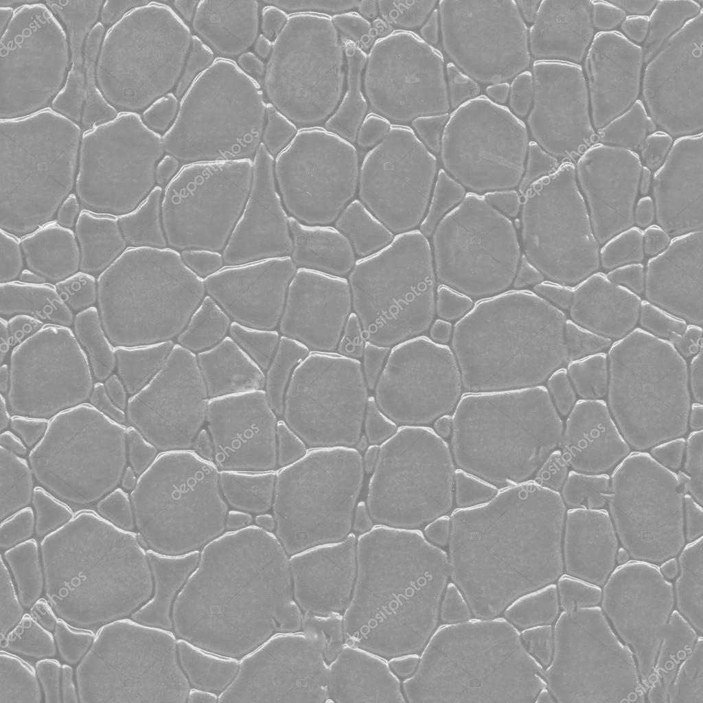 Gray artificial snake skin texture as background Stock Photo by ©natalt ...