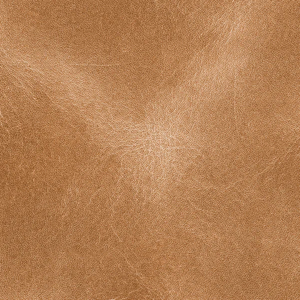 Skin mole texture Stock Photos, Royalty Free Skin mole texture Images ...