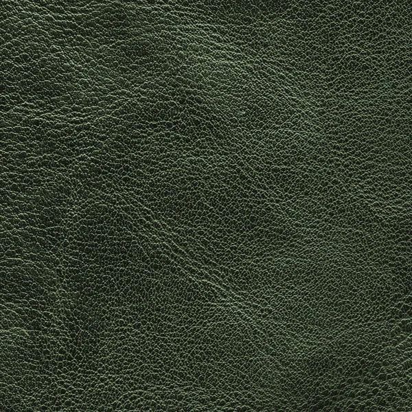 Dark green leather texture. Useful as background - Stock Image - Everypixel