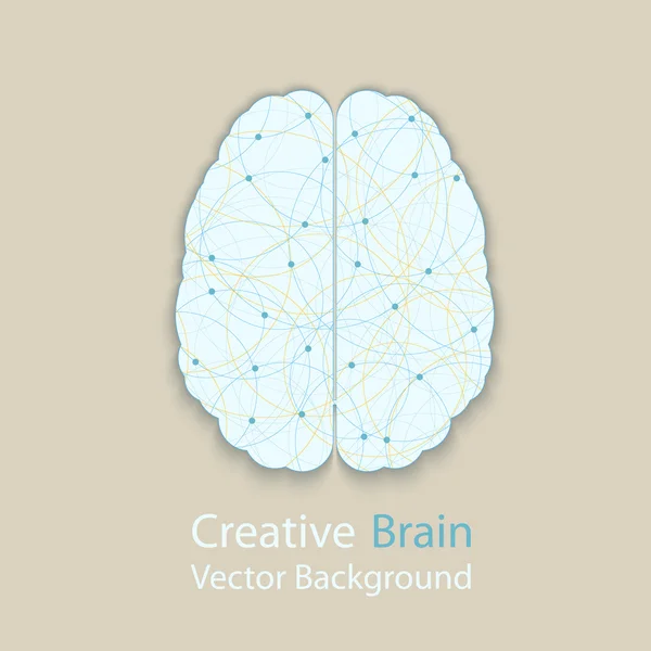 Áreas cerebrais Vector Art Stock Images | Depositphotos