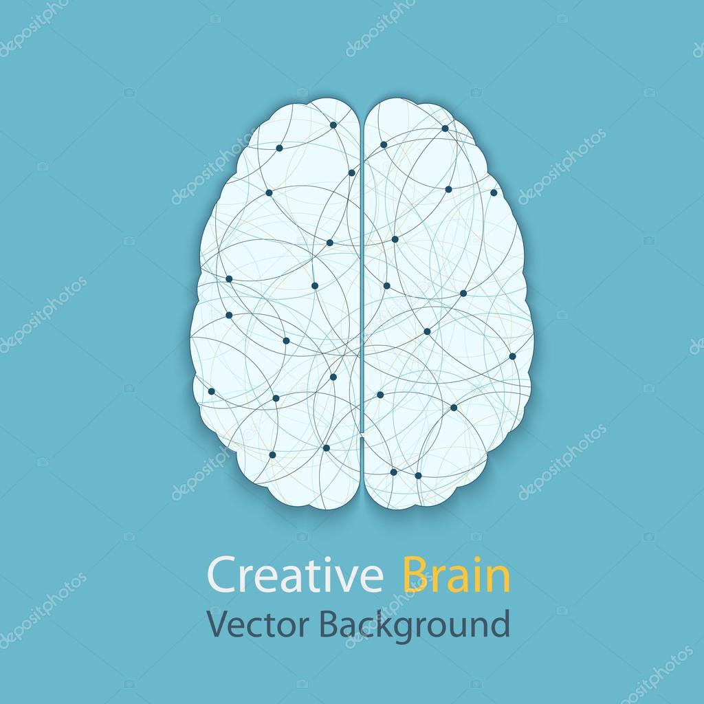 Human brain — Stock Vector © dr911 #83167120