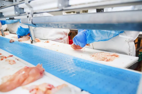 Group Workers Working Chicken Factory Food Processing Plant Concepts ...