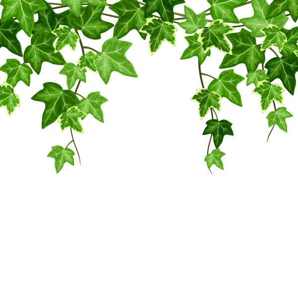 3,096 Hanging leaves Vector Images | Depositphotos