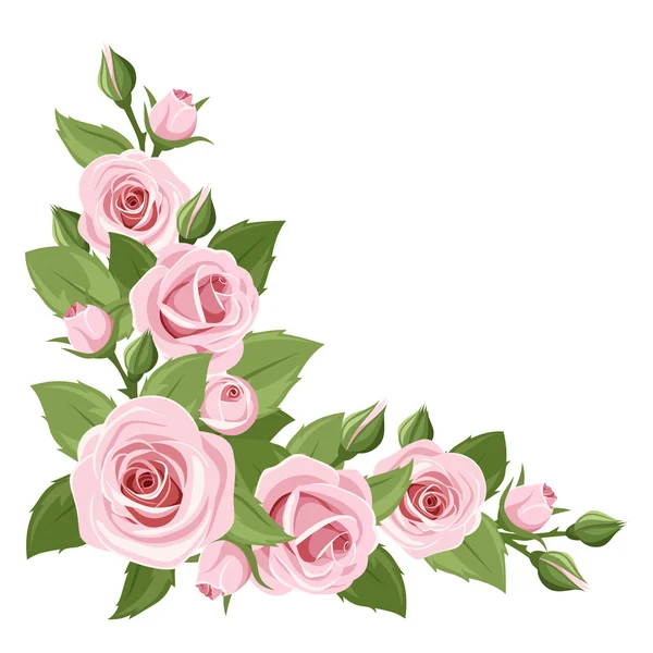 Roses and lisianthus flowers. Vector corner background. — Stock Vector ...