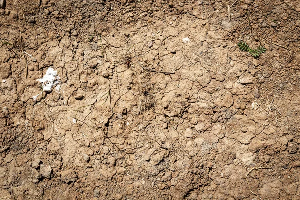 Abtract Ground Texture Clumps Soil Background Stock Photo by ©Taigi ...