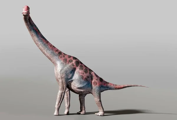 Realistic model of a dinosaur Stock Photos, Royalty Free Realistic ...