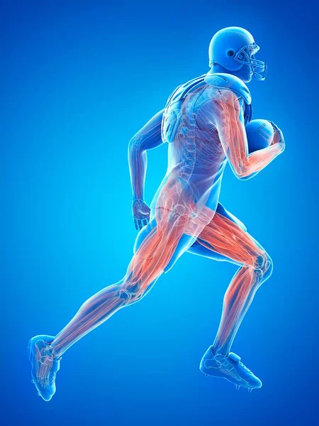 Sports back injuries Stock Photos, Royalty Free Sports back injuries ...