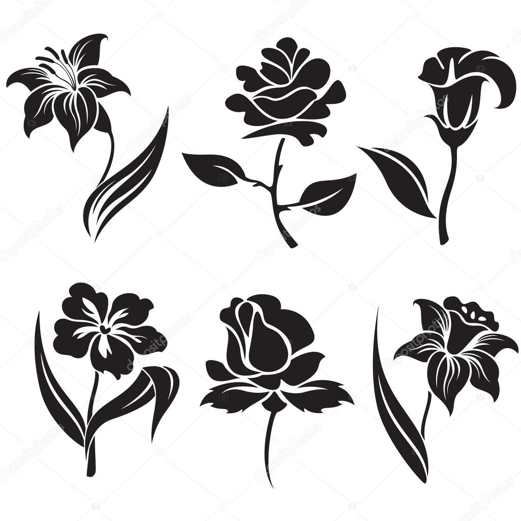 Vector conjunto de flores en blanco y negro. vector, gráfico vectorial ...