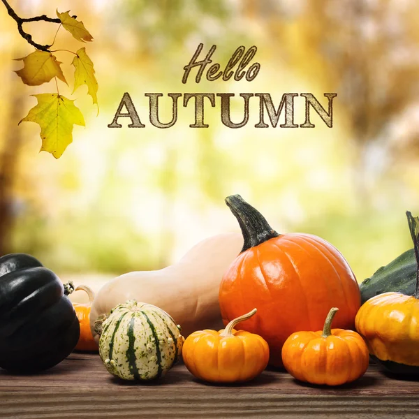 Hello fall Stock Photos, Royalty Free Hello fall Images | Depositphotos