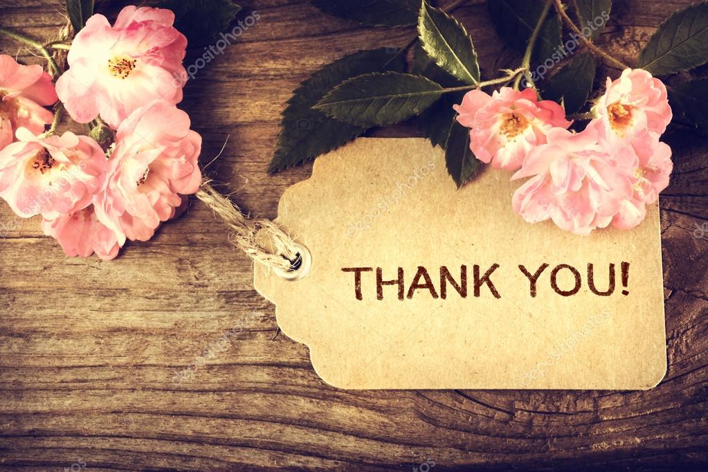 Thank You message with small roses — Stock Photo © Melpomene #86964270