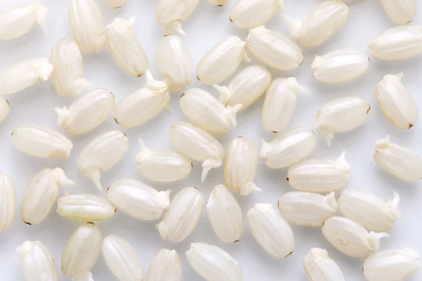 118 Germinated brown rice Stock Photos, Germinated brown rice Images ...