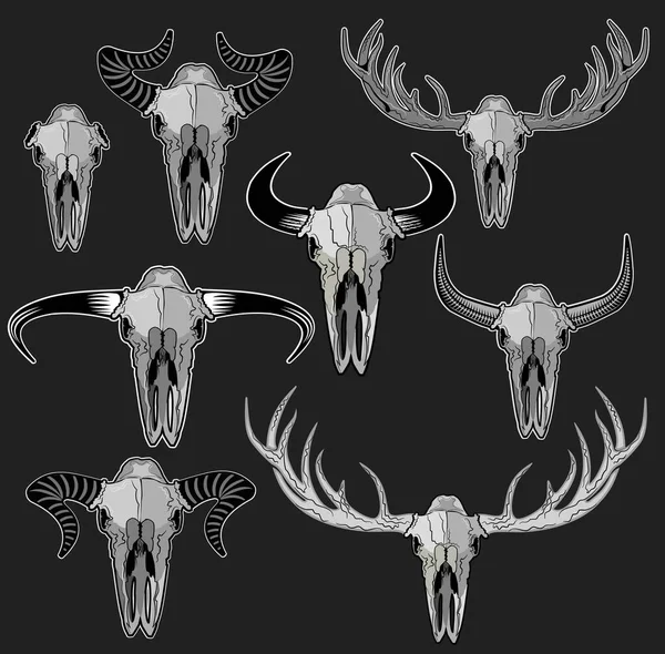 Elk skull Vector Art Stock Images | Depositphotos