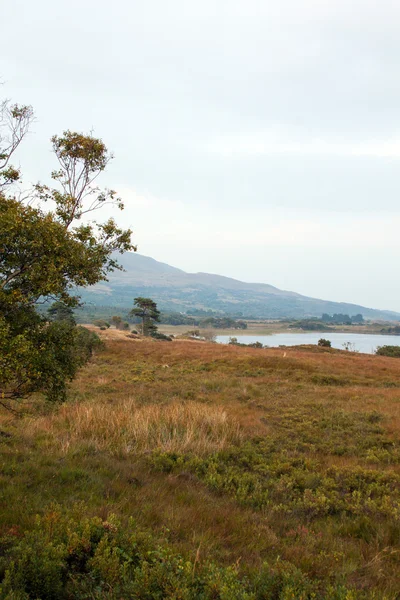 Lough avalla loop walk Stock Photos, Royalty Free Lough avalla loop ...