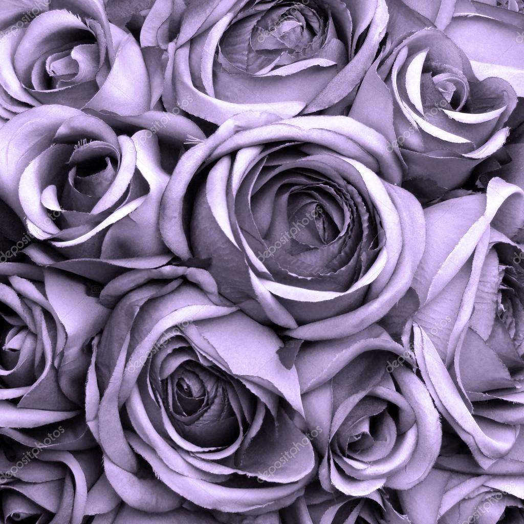 Roses pattern background Stock Photo by ©Malgorzata_Kistryn 69383391