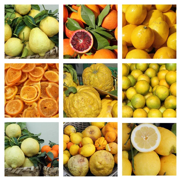 Citrus collection as background Stock Photo by ©Malgorzata_Kistryn 45338317