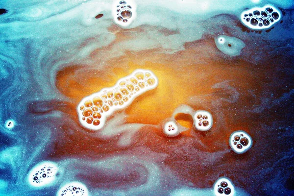 Experiment bacteria Stock Photos, Royalty Free Experiment bacteria ...