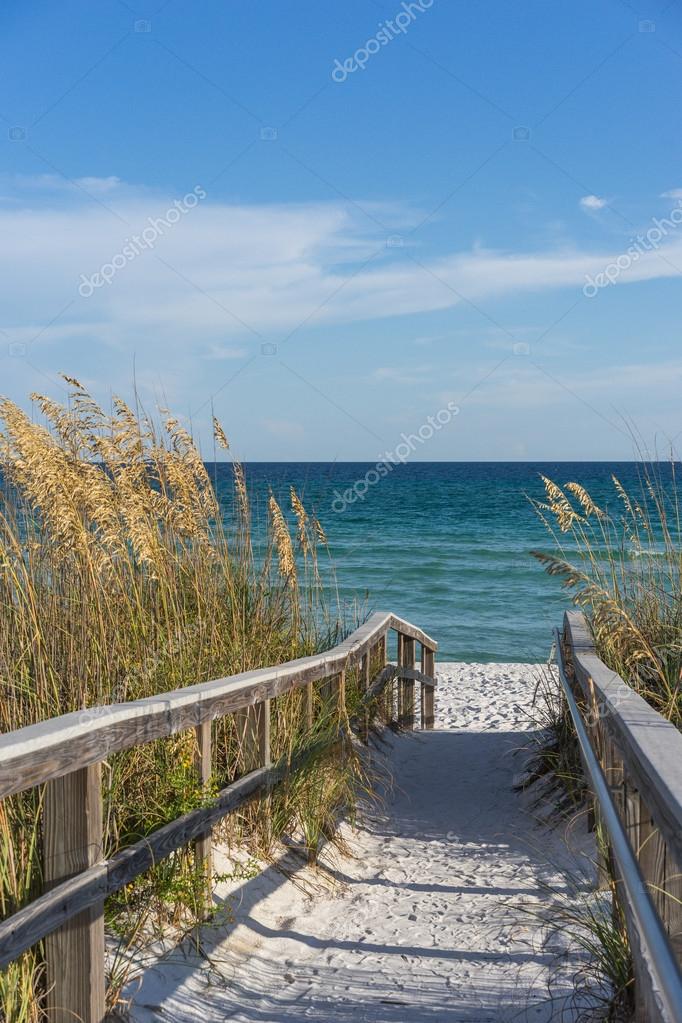 Footpath to beach in paradise Stock Photo by ©forestpath 52988907