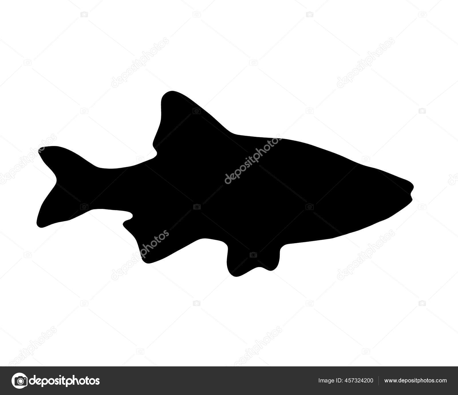 Siluet Hitam Ikan Pada Latar Belakang Putih Vektor Stok oleh ©sun_tiger ...