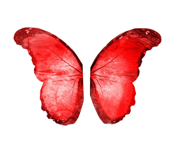 Red butterfly Stock Photos, Royalty Free Red butterfly Images ...