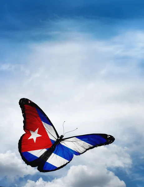 Israel flag butterfly flying Stock Photo by ©sun_tiger 57687179