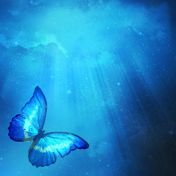 Light blue butterfly Stock Photos, Royalty Free Light blue butterfly ...